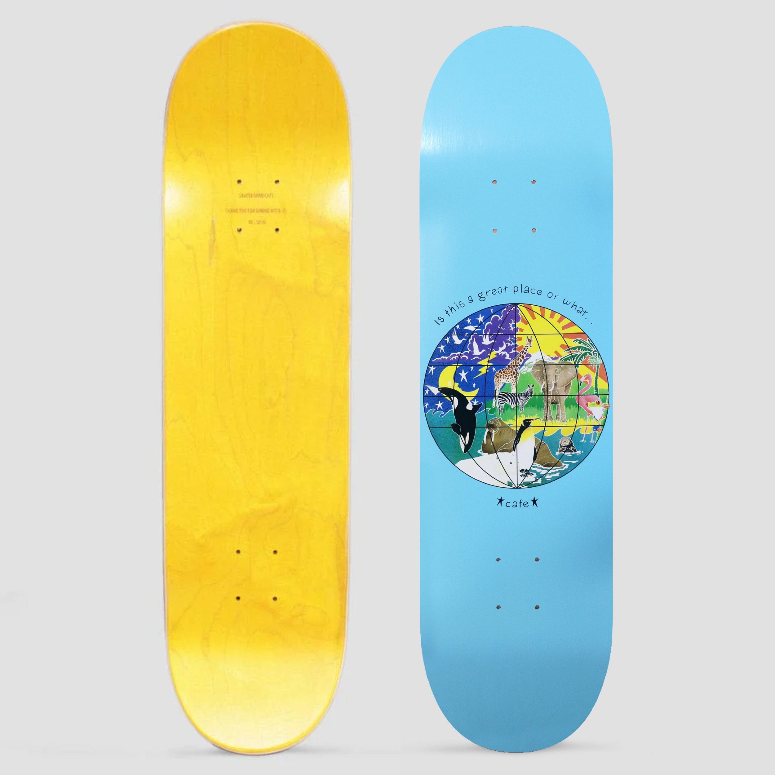 Skateboard Cafe 8.0 Great Place Skateboard Deck Baby Blue – Slam City ...